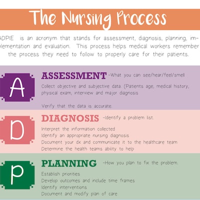 Nursing Process Study Guide Notes - Etsy