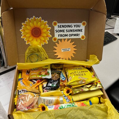 A Bit of Sunshine to Brighten Your Day Sunflower Care Package, Sending ...