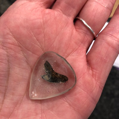 Resin Leopard Gecko - Etsy