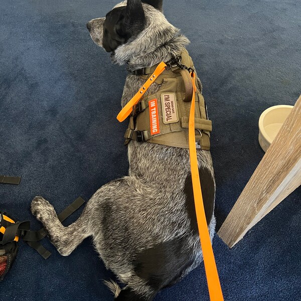 Biothane E-collar Remote Lanyard Lanyard for E-collar Remote Lanyard for Keys Biothane Lanyard ...