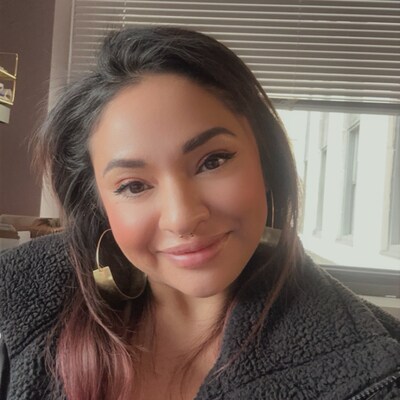 Silver Vote Earrings, Political Jewelry, 2024 Election, Patriotic ...