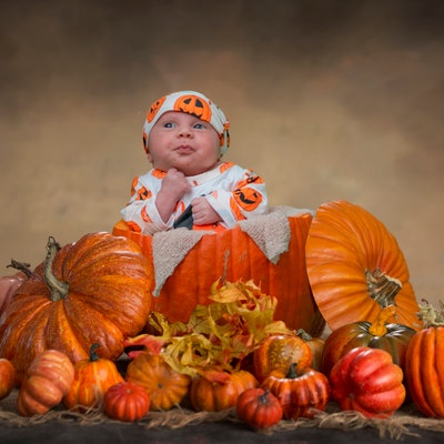 Digital Background Backdrop Newborn Baby Sitter Toddler Pumpkin Fall ...
