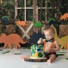 Dinosaur Cake Smash Outfit, Dinosaur First Birthday Outfit, Diaper ...