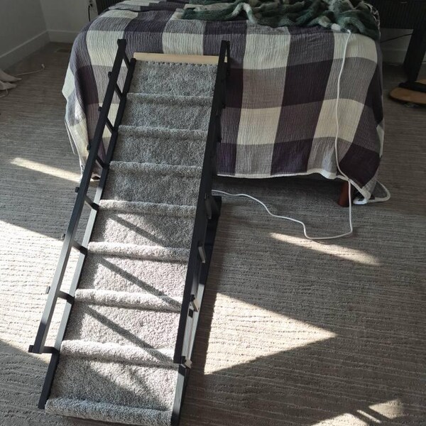 Pet Ramp With Foldable Rails | Extra Front Rail - Etsy