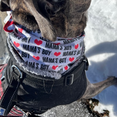 Cinco De Mayo Dog Bandana Pinata Dog Bandana Piñata Dog Scarf Cinco De ...