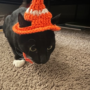 Cat Frog Hat Available for All Pets Dog / Cat / Pet Hat - Etsy