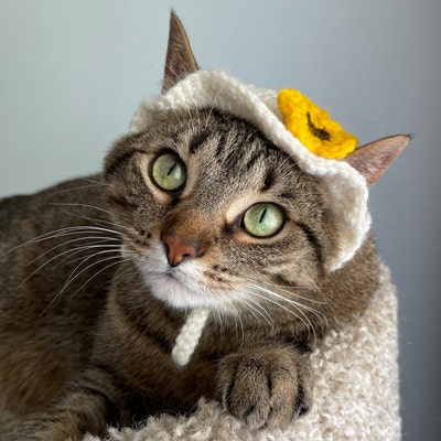 Pumpkin Cat Hat Halloween Cat Hat Costume for Cat - Etsy Canada