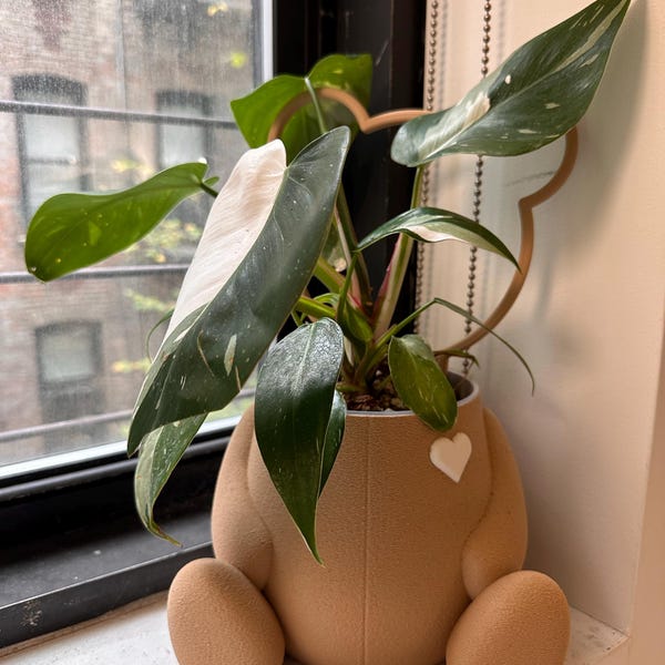 Fuzzy Teddy Bear With Heart Planter 3D Printed Cute Plant Pot for ...