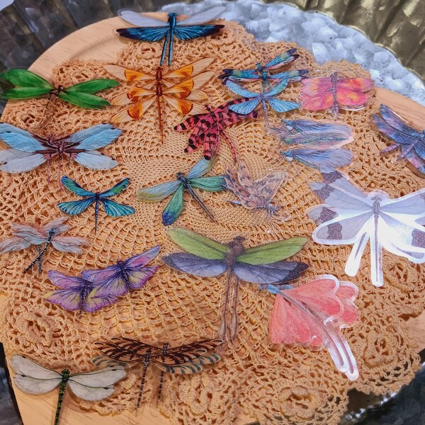 Kamio ADULT VISUAL DICTIONARY Stickers, Otter Seal Sea Lion Stickers ...