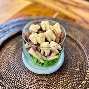 Chocolate Teeth, Tooth Chocolates, Dentistry, Dental Hygienist, Dentist ...