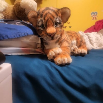 Black Goat, Teddy Goat, Goat Art Doll, Plush Goat, Stuffed Animals ...