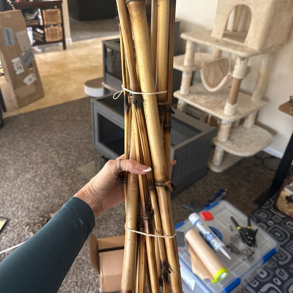 Bamboo Sheaths Natural Organic Substrate for Vivarium, Terrarium ...