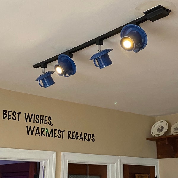 Beer Can Track Lighting Fixture. Track Lights With Track. Aluminum Beer ...