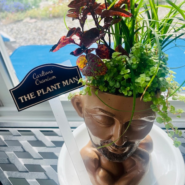 Plant Labels, Plant Tags, Plant Markers, Garden Stakes, Plant Name Tags ...