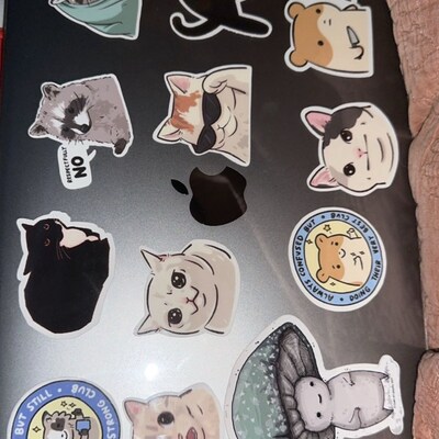 Bombastic Side Eye Funny Sticker Gifts Under 10 Water - Etsy