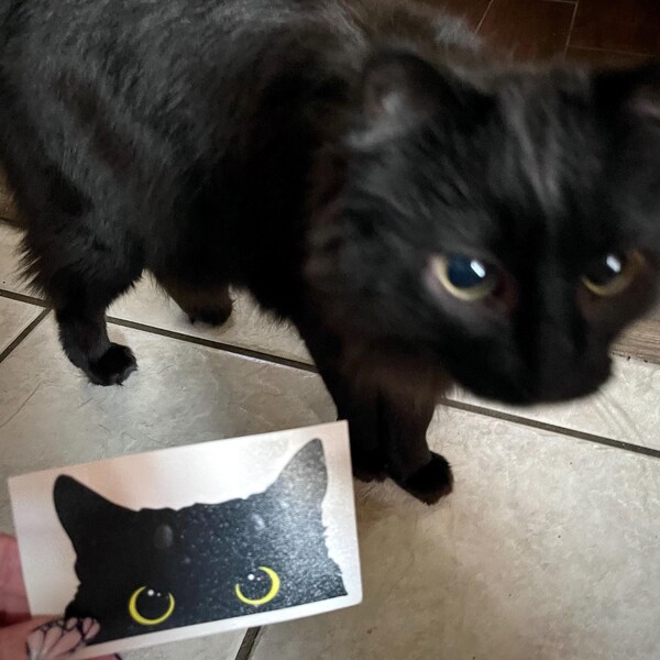 Darth Vader Storm Troopers Middle Finger Peeker Peeking Car Decals Star ...