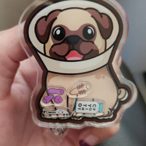 Veterinary Anesthesia Cheat Sheets Vet Tech Notes Vet Nurse Anesthesia ...