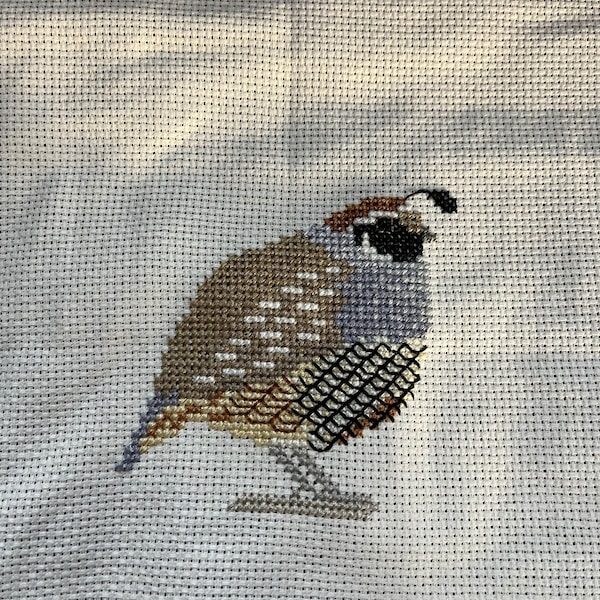 California Quail Cross Stitch Pattern: State Bird Design (PDF) - Etsy