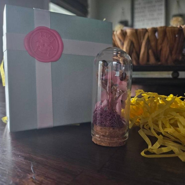 Coccinellidae Ladybug Display in Cloche Bottle. Stunning Home Decor ...