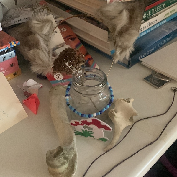 Therian and Otherkin Care Package Mystery Boxes - Etsy