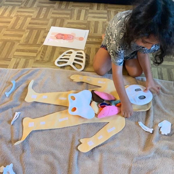 Ant Unit Lesson Printable, Parts of an Ant, Ant Anatomy, Types of Ant ...