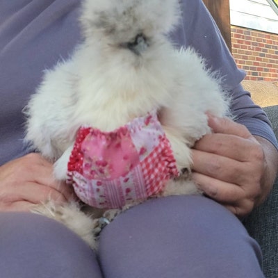 Chicken Bra Crop Support Pendulous Crop Support Crop Bra - Etsy UK