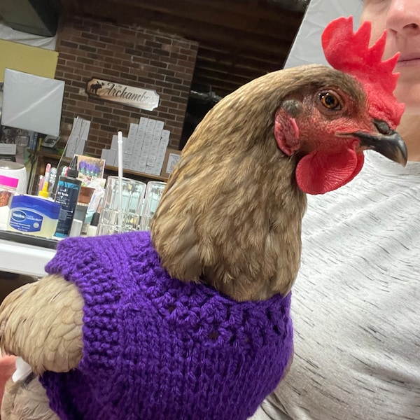 Knit Chicken Sweaters (medium Weight) - Hen Clothing - Poultry ...