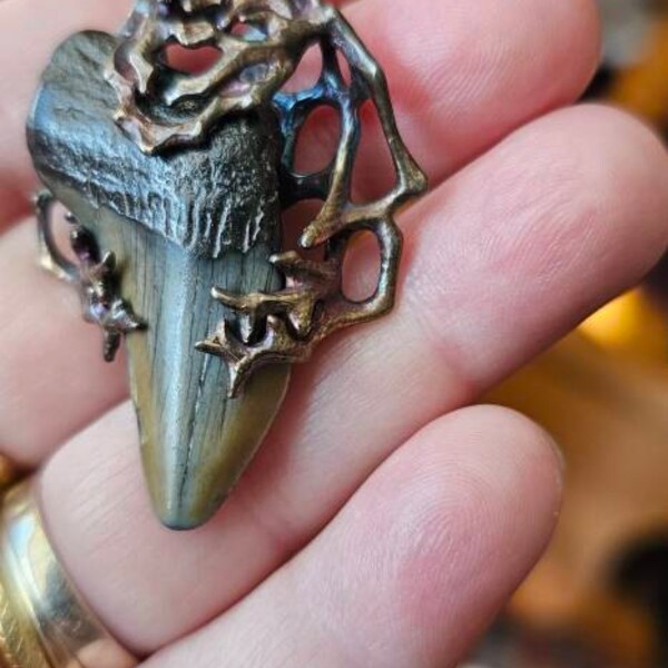 Leviathan - Fossil Megalodon / Mako Shark Tooth in Bronze - Etsy UK