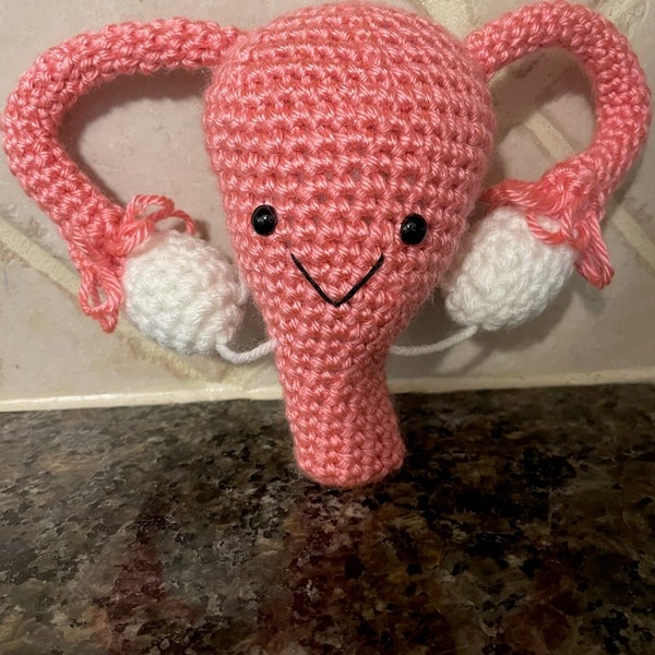 Crochet Uterus Plush With Ovaries, Anatomical Teaching Tool - Etsy