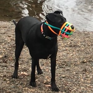 Biothane Basket Dog Muzzle Open Nose Adjustable Extra | Etsy