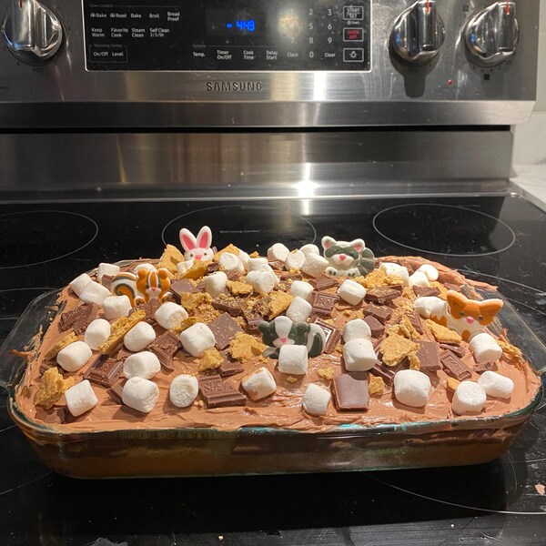 Philadelphia Eagles NFL Edible Football Confetti Sprinkles Cake Donuts ...