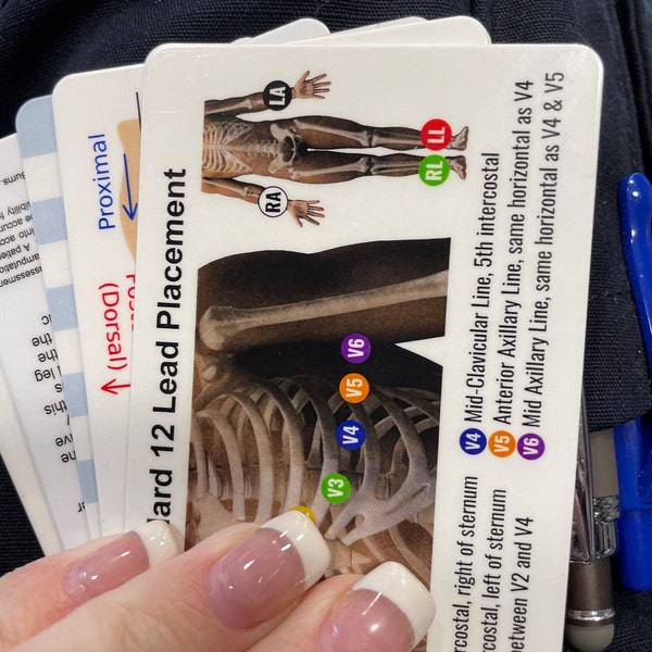 Comprehensive Vertical Badge Card Set - 30 Cards - for ID Badge Clip ...