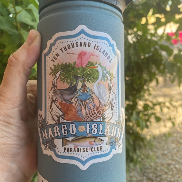 Seashell Shelling Bag! Beach Bag With Shells of Southwest Florida ...