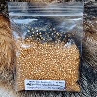 Complete Beading Kit, 24 Colors and Textures, Beginner's Beadwork Kit ...
