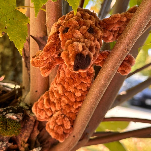 TEENIE TEAM OF 6 Crochet Snuggler Pattern Bundle includes Boxer ...