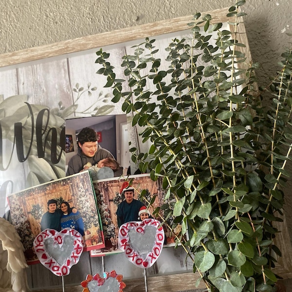 Fresh Eucalyptus Shower Bundle, Eucalyptus Shower Bundle, Indoor ...