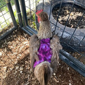 Mermaid Chicken Tutu | Etsy