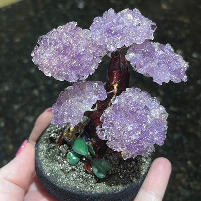 Wooden Shell Tripod Display Stand Hand Carved Base for - Etsy