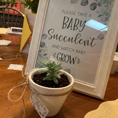 Baby Shower Succulent Favor Sign, Succulent Baby Shower Sign, Baby ...