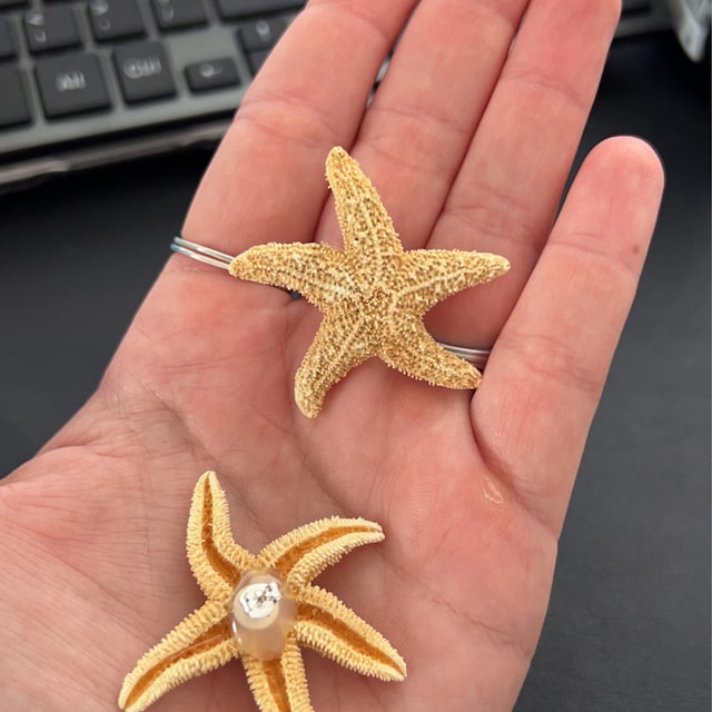 UiJewelryMaui - Etsy