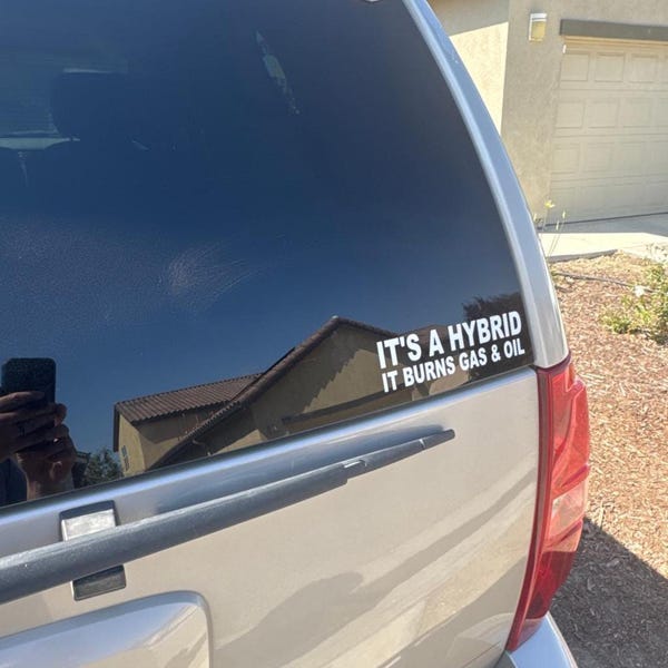 Stick Figure Flipping off Vinyl Decal - Etsy