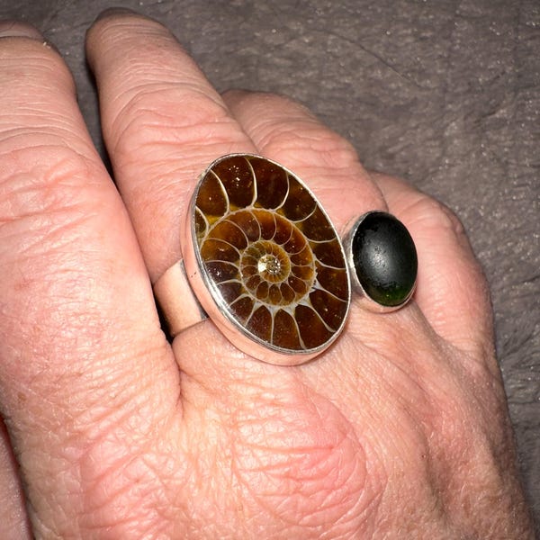 Ammonite Fossil Gemstone Silver Ring, Sterling Silver Ring, Fossilized ...