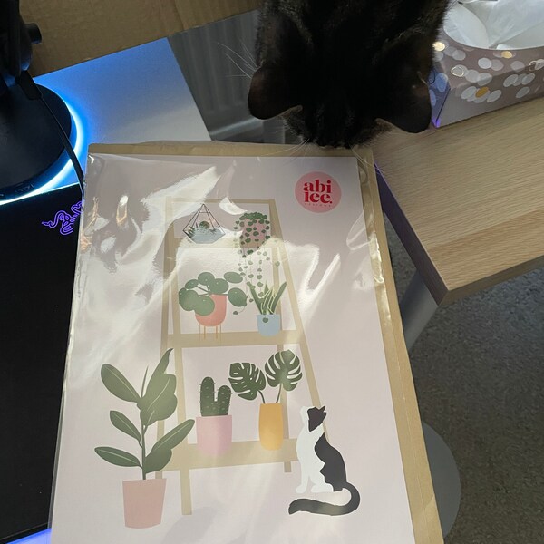 Harry Styles Birthday Card Celebrate in Style One Direction Love on ...