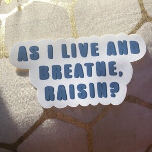 THE OFFICE Save Bandit Angela Sticker Vinyl Waterproof Sticker the ...