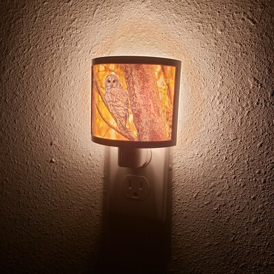 Canvas Owl Night Light, Owl Gift, Plug in Night Light, Barred Owl ...