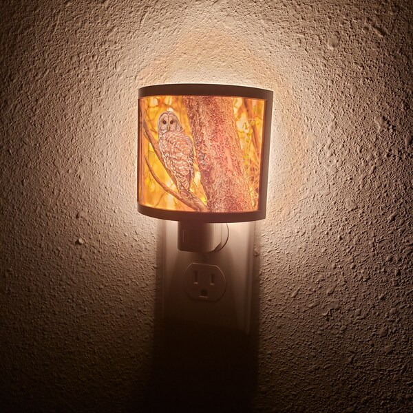 Canvas Owl Night Light, Owl Gift, Plug in Night Light, Barred Owl ...