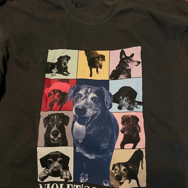 Customizable Eras Comfort Colors Tee, Eras Tour Gift for Dog Mom, Swift ...