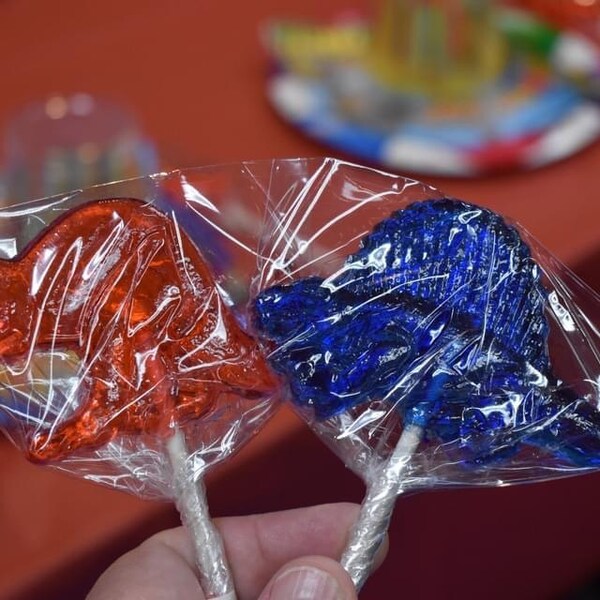 12 LARGE DINOSAUR LOLLIPOPS - Reptile Party - Etsy