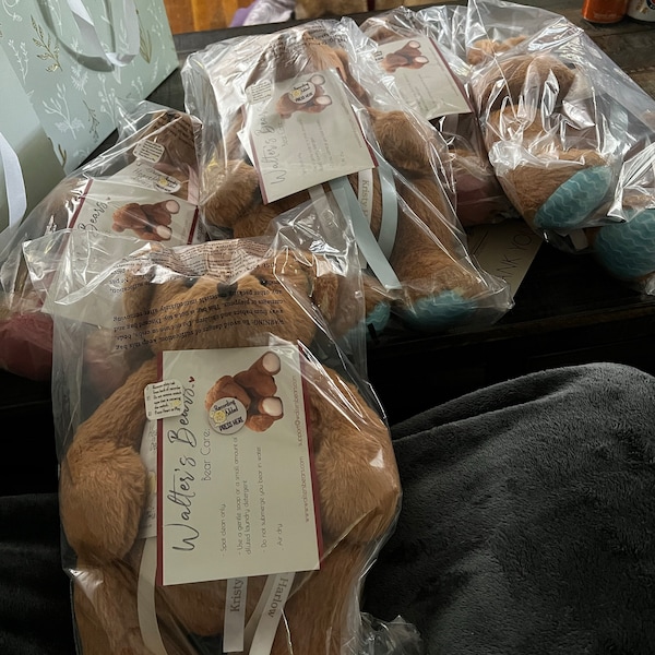 Voice Recording Gift, Voice Recording Gift Memorial, Recordable Teddy ...