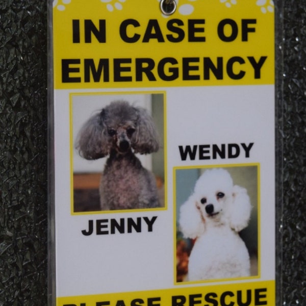 Cat Carrier/dog Carrier/kennel Travel Tag/kennel Tag/crate Tag/travel ...